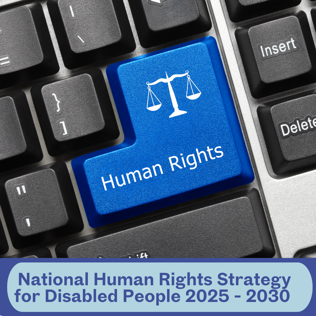 National Human Rights Strategy for Disabled People 2025–2030 | St ...